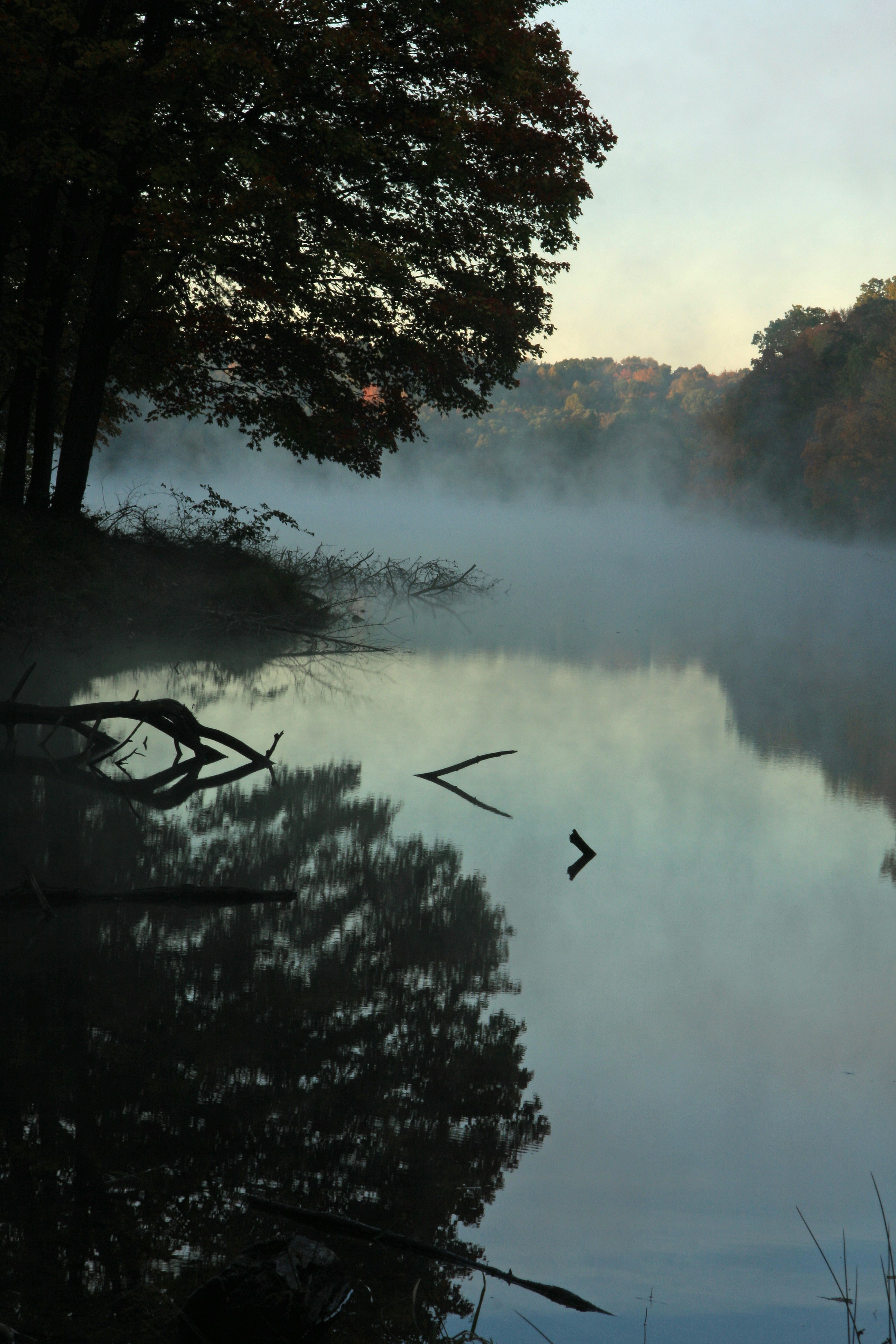 The Only Official Travel Site | Hocking Hills, Ohio
